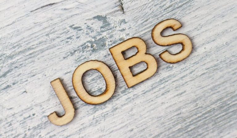 What Are Government Jobs? - GovernmentJobs.org